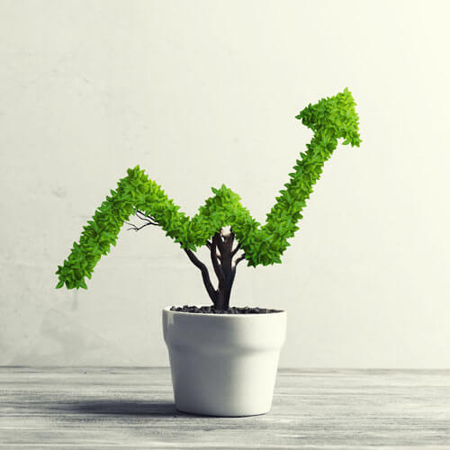 Kako poteka valutno trgovanje s pomočjo algoritma Helium